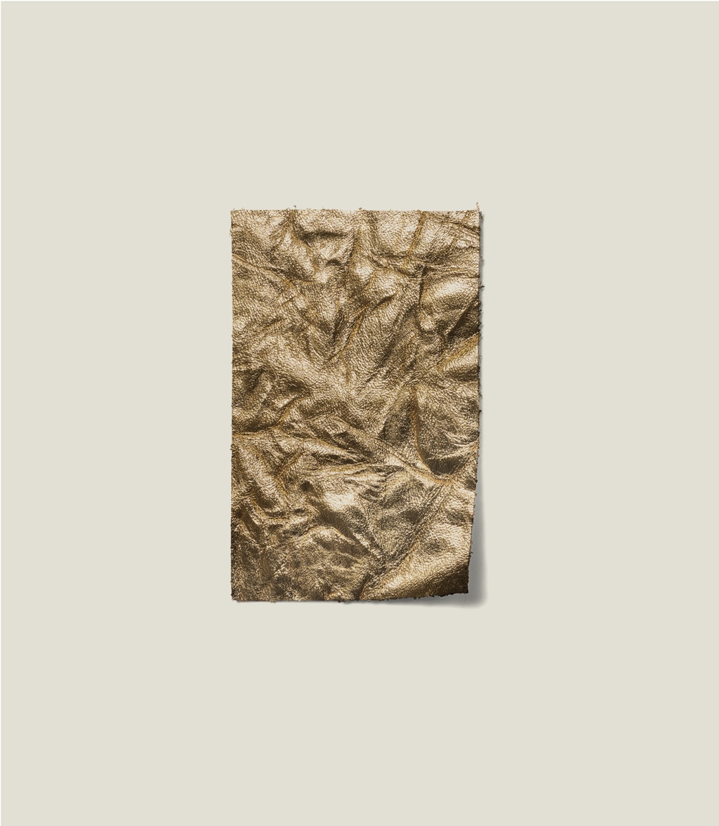Miniwallet Crunch Gold - US